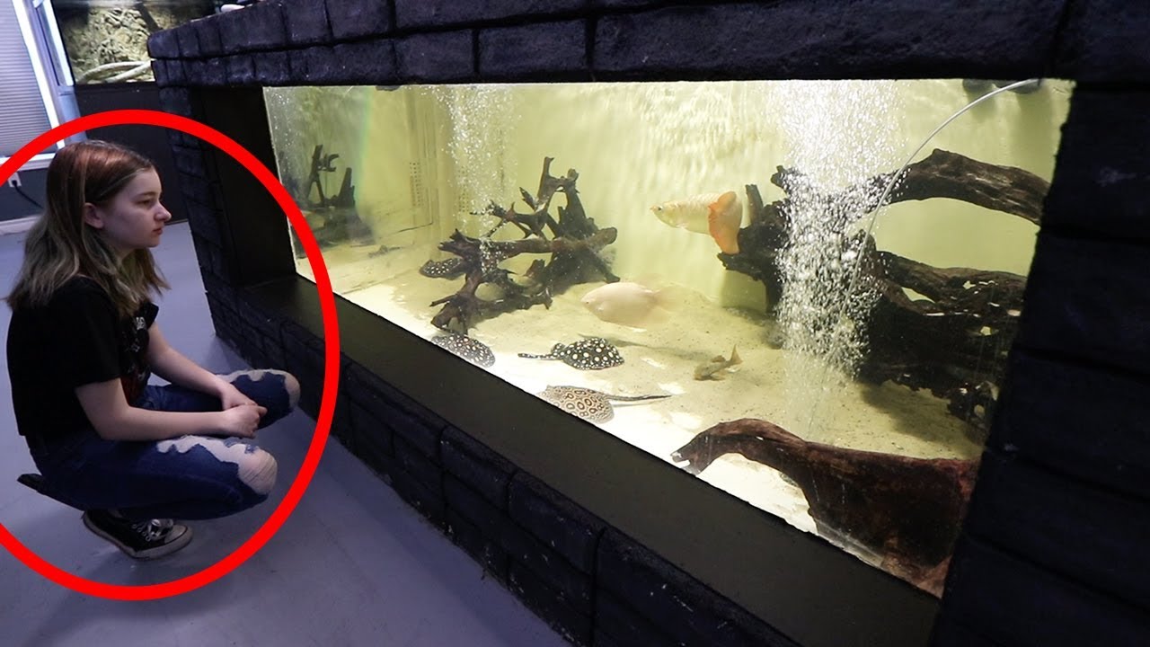 How she REALLY feels about my FISH TANKS - YouTube