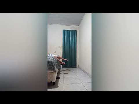o menino roubando