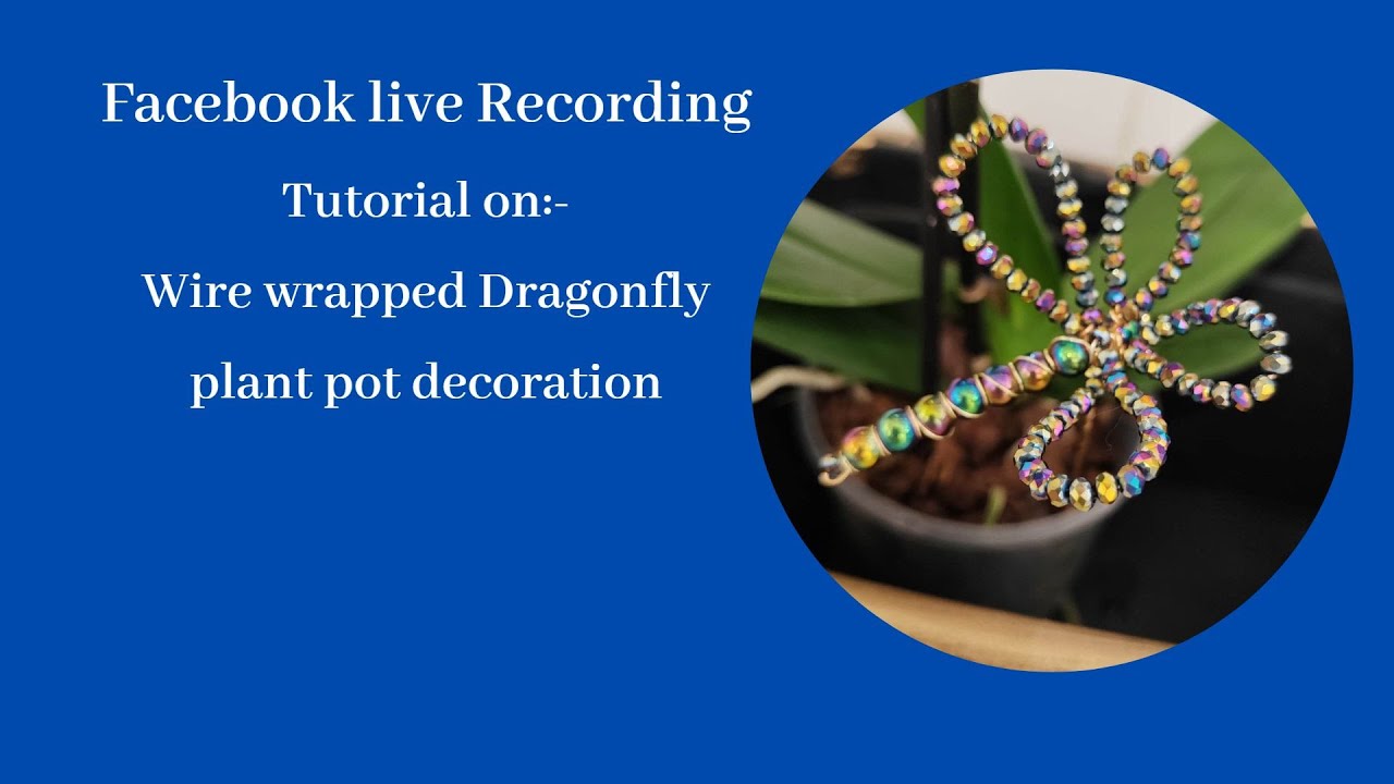 Wire wrapped dragonfly plant pot decoration - YouTube