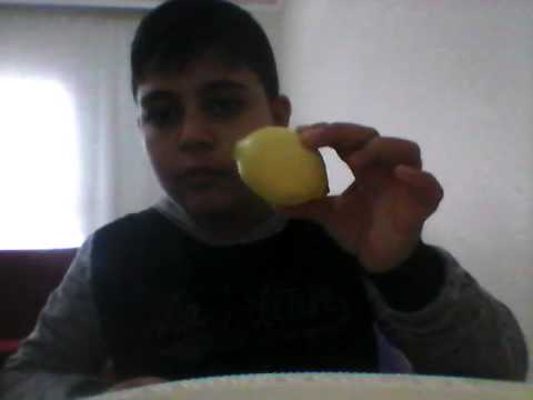 Limonla telefon şarj etmek mümkünmü. Bölüm 9