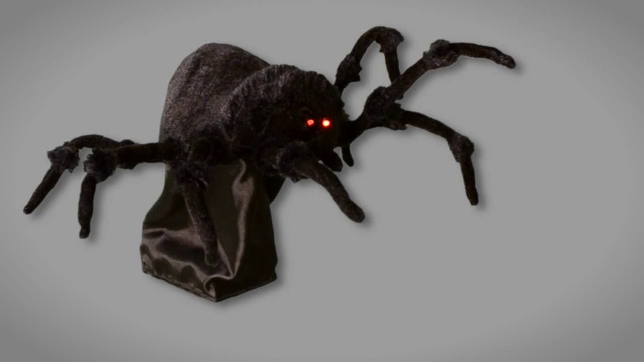 Jumping Spider Prop - YouTube