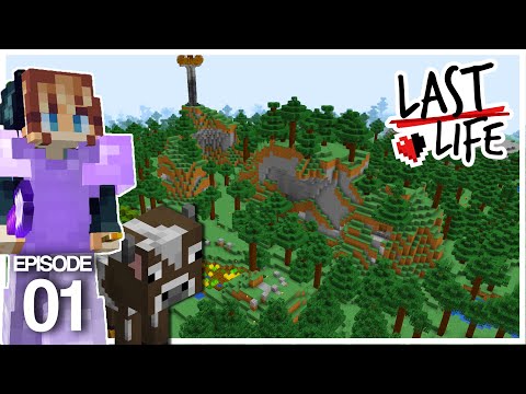 Last Life: New Hardcore Chaos Begins! | Episode 1