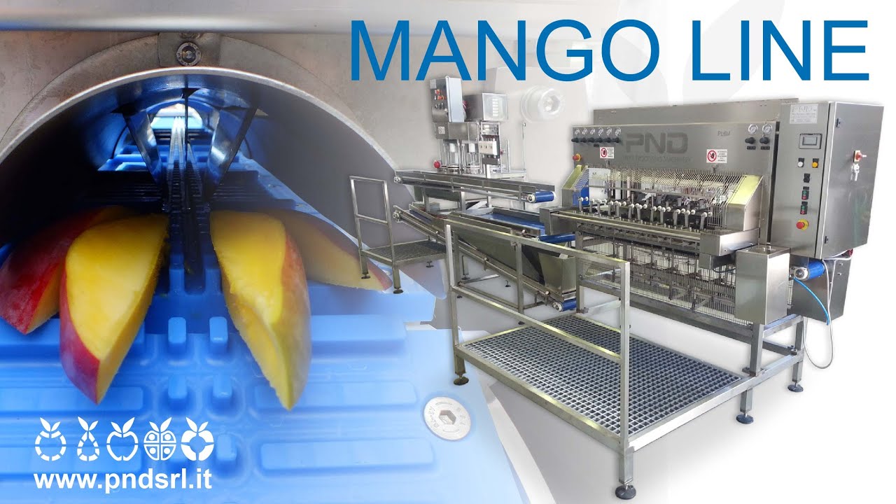 Mango chunking line - YouTube