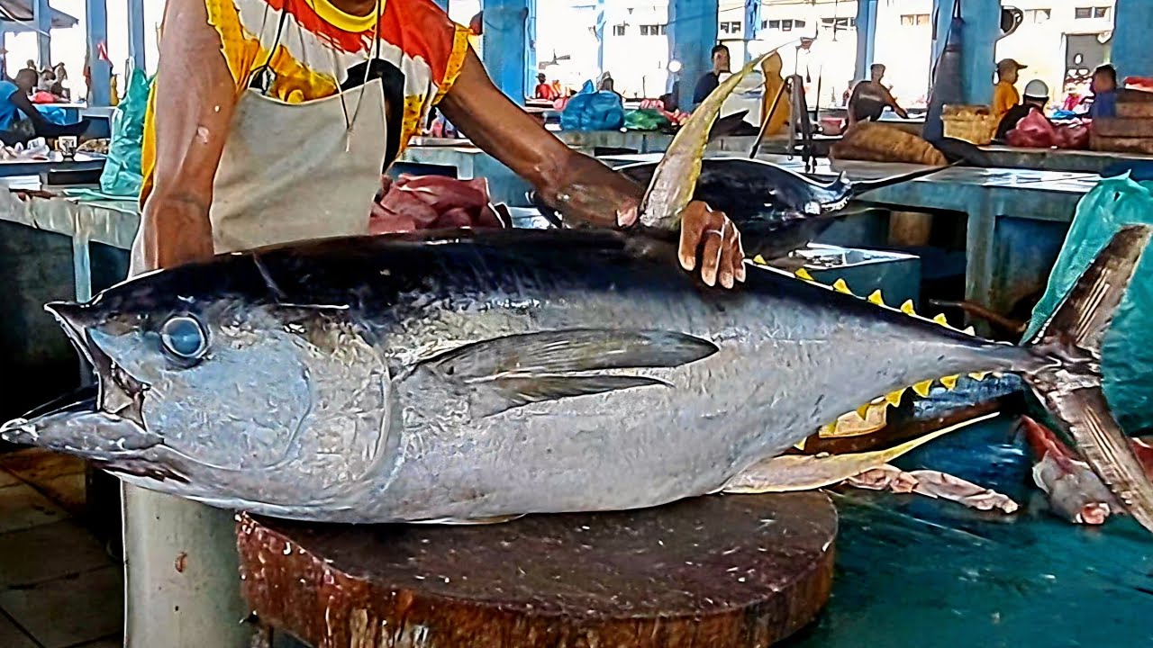 The Skill of Cutting Large Tuna with Sharp Machetes by Young People ...