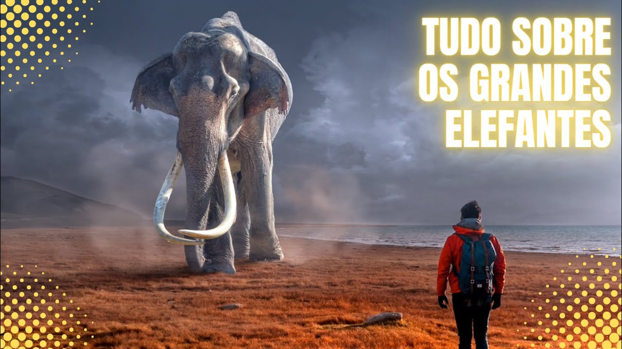 TUDO SOBRE O INCRÍVEL ELEFANTE, CONHEÇA A DIFERENÇA ENTRE O ELEFANTE ...