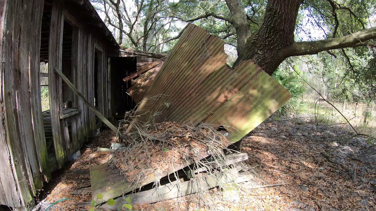 Abandoned Homestead in The Green Swamp - YouTube
