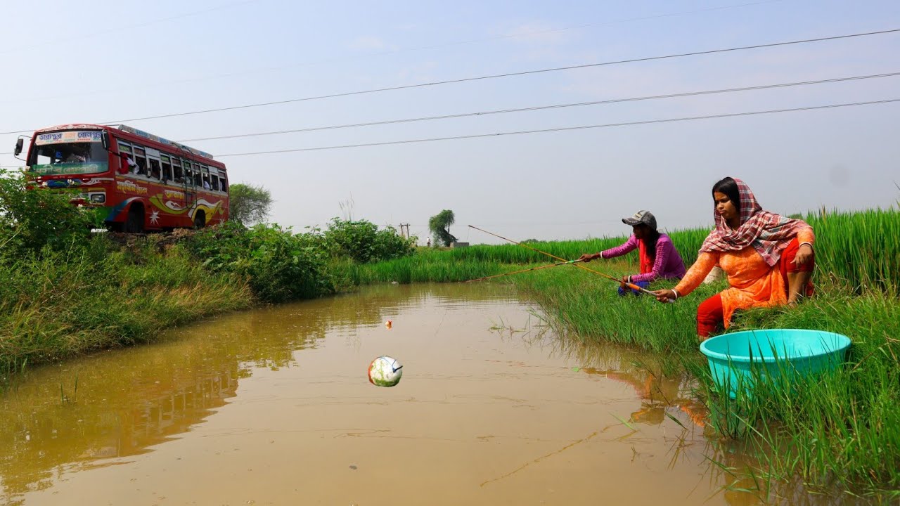 Fishing Video🐠 | Village lady real fish catching in village paddy field ...