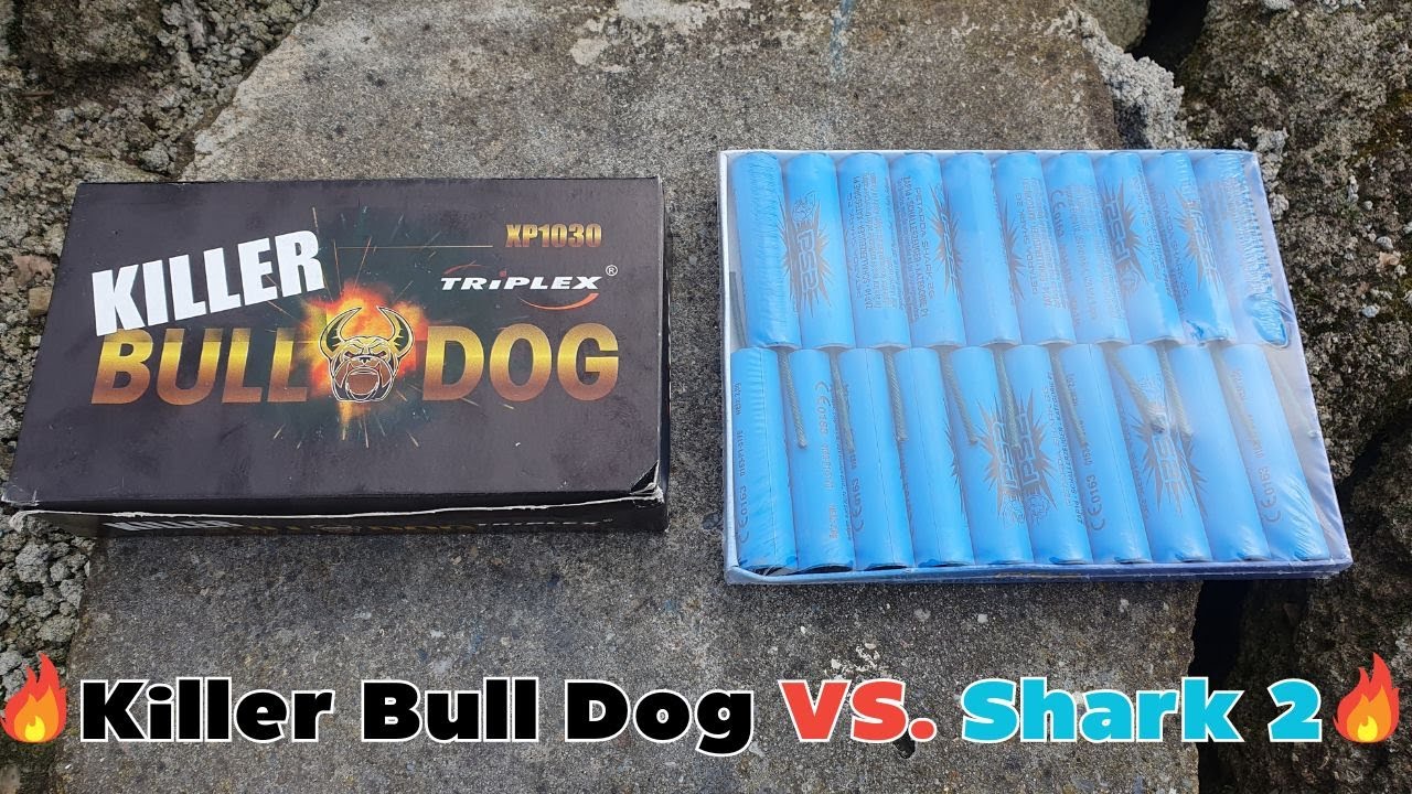 Killer Bull Dog VS. Shark2 [Ps2]💥 - YouTube