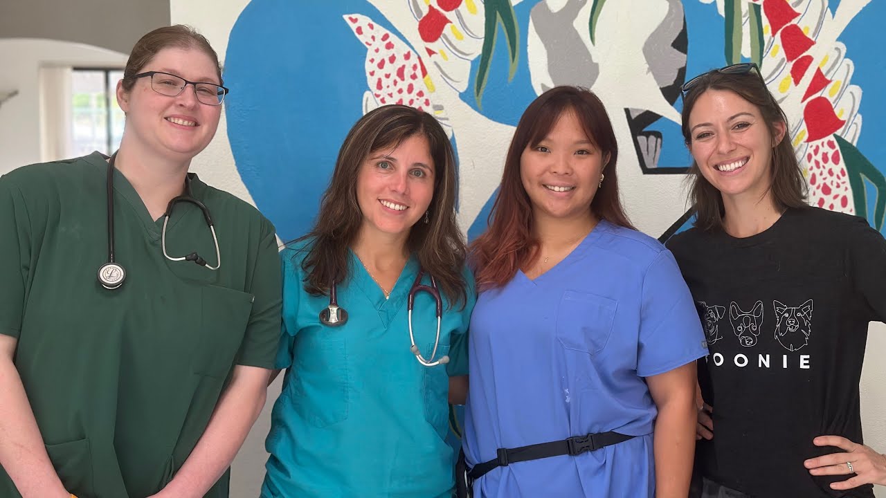 Saipan Humane Society provides critical care through Banfield ...