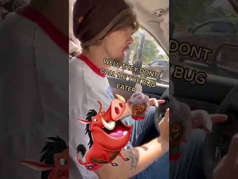 Timon and Pumba drinking Bug Juice #shorts - YouTube