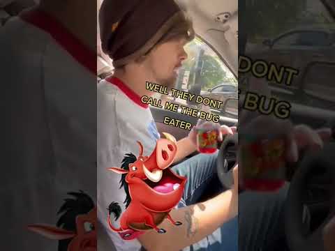 Timon and Pumba drinking Bug Juice #shorts - YouTube