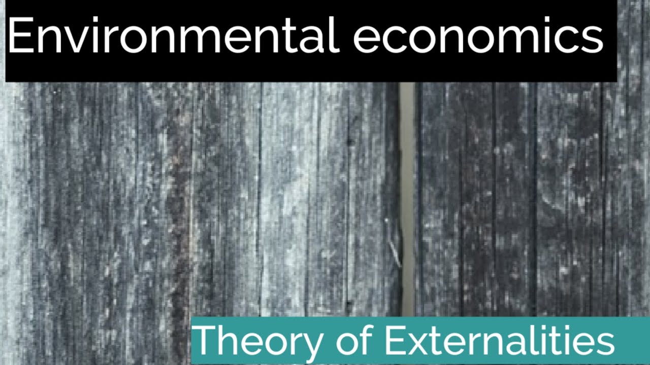 Theory of Externalities | Environmental economics - YouTube