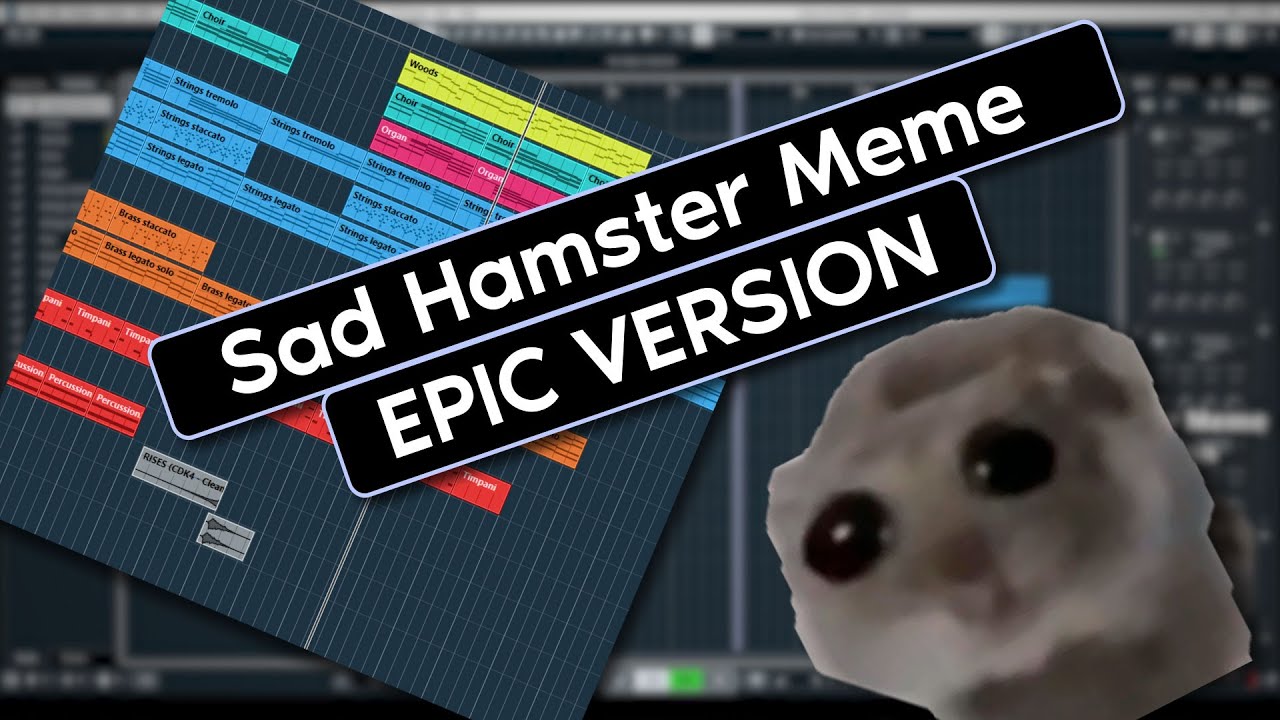 Sad Hamster Meme | EPIC VERSION - David Davis #sad #memes # ...