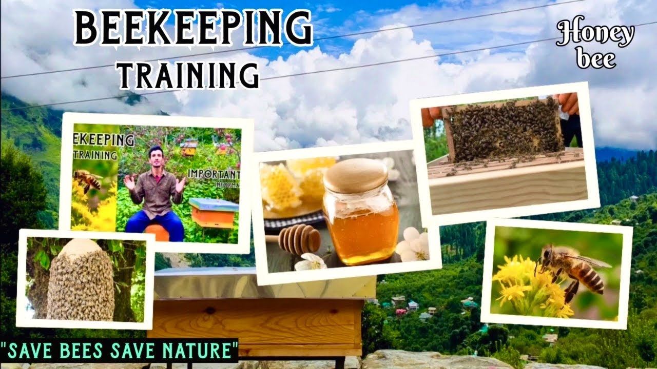 Beekeeping training | Madhumakhi Palan | Apiculture | Mountain Honey ...