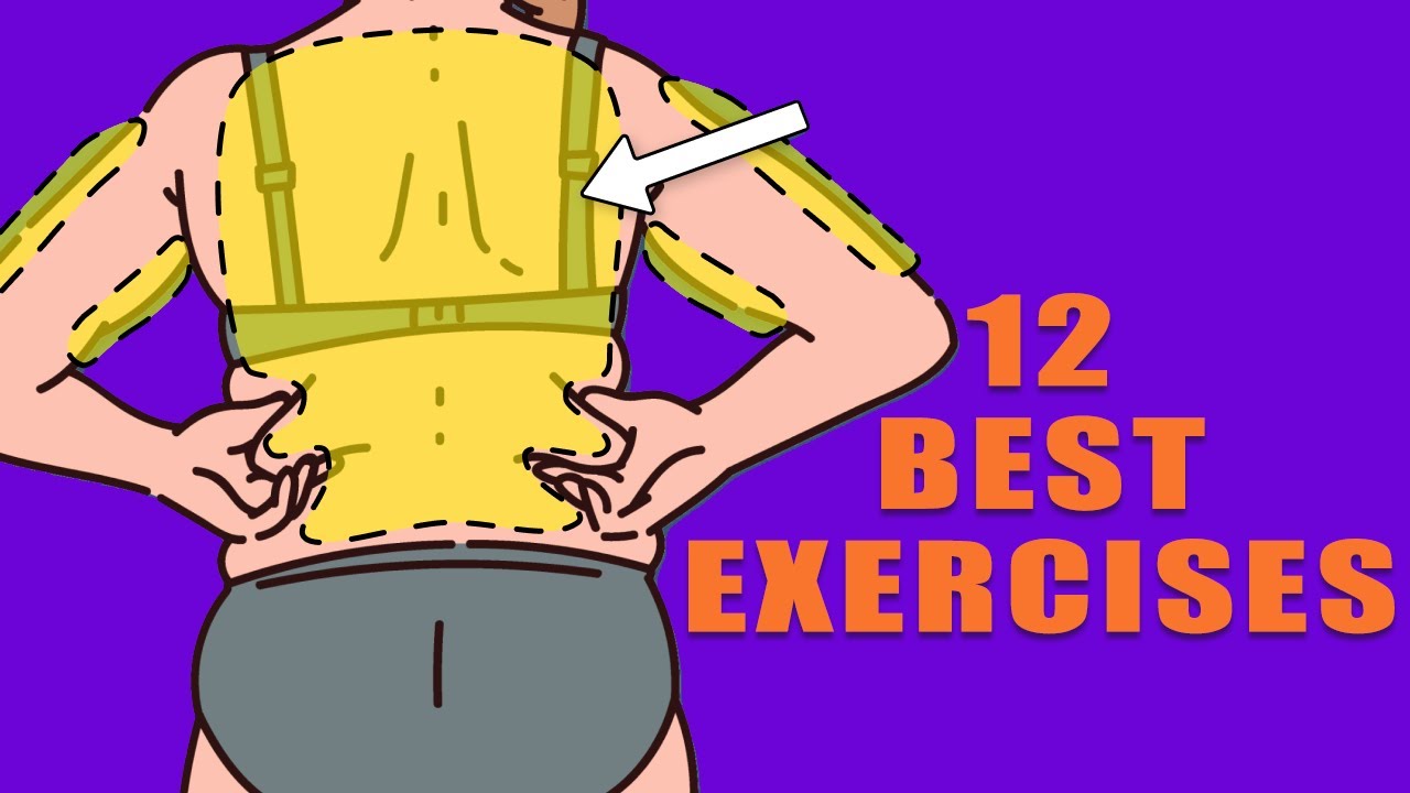 12 EXERCISES TO TONE BACK AND LOSE LOVE HANDLES | PERFECT BACK - YouTube