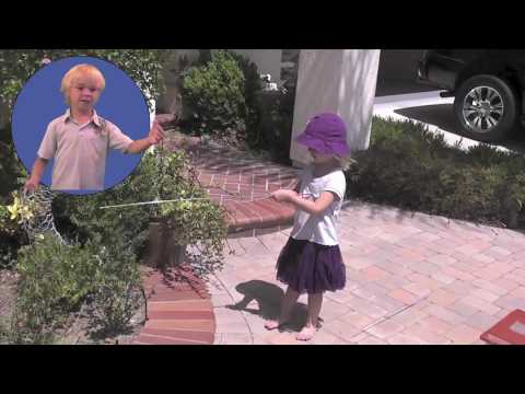 Con's Lizard Lasso - Infomercial - Lizard Catcher only $9.99 - YouTube