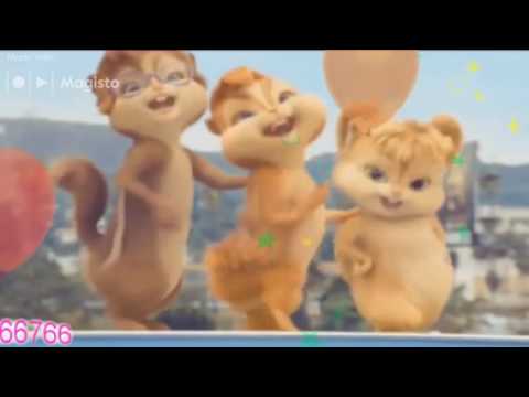 happy birthday bongi - YouTube