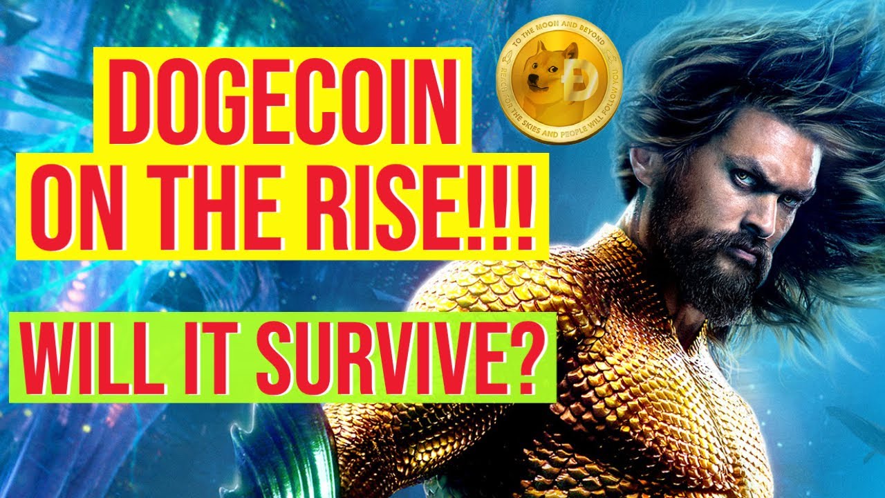 DOGECOIN UPDATE NOW !! DOGECOIN PUMP OR DUMP !!! - YouTube