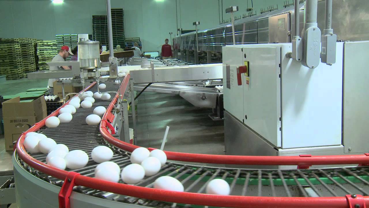 Ohio Poultry Association | Educational Video | Video 6: Careers - YouTube