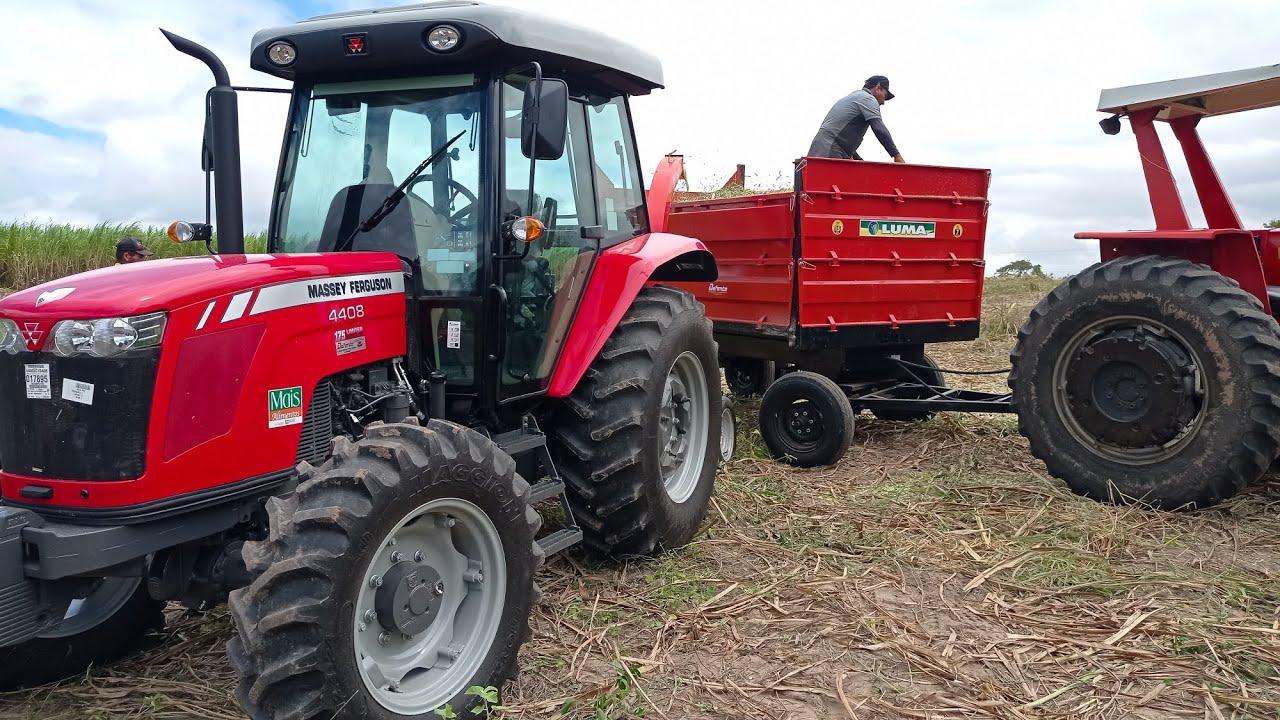 Dois tratores massey ferguson trabalhando na silagem no sítio mata ...