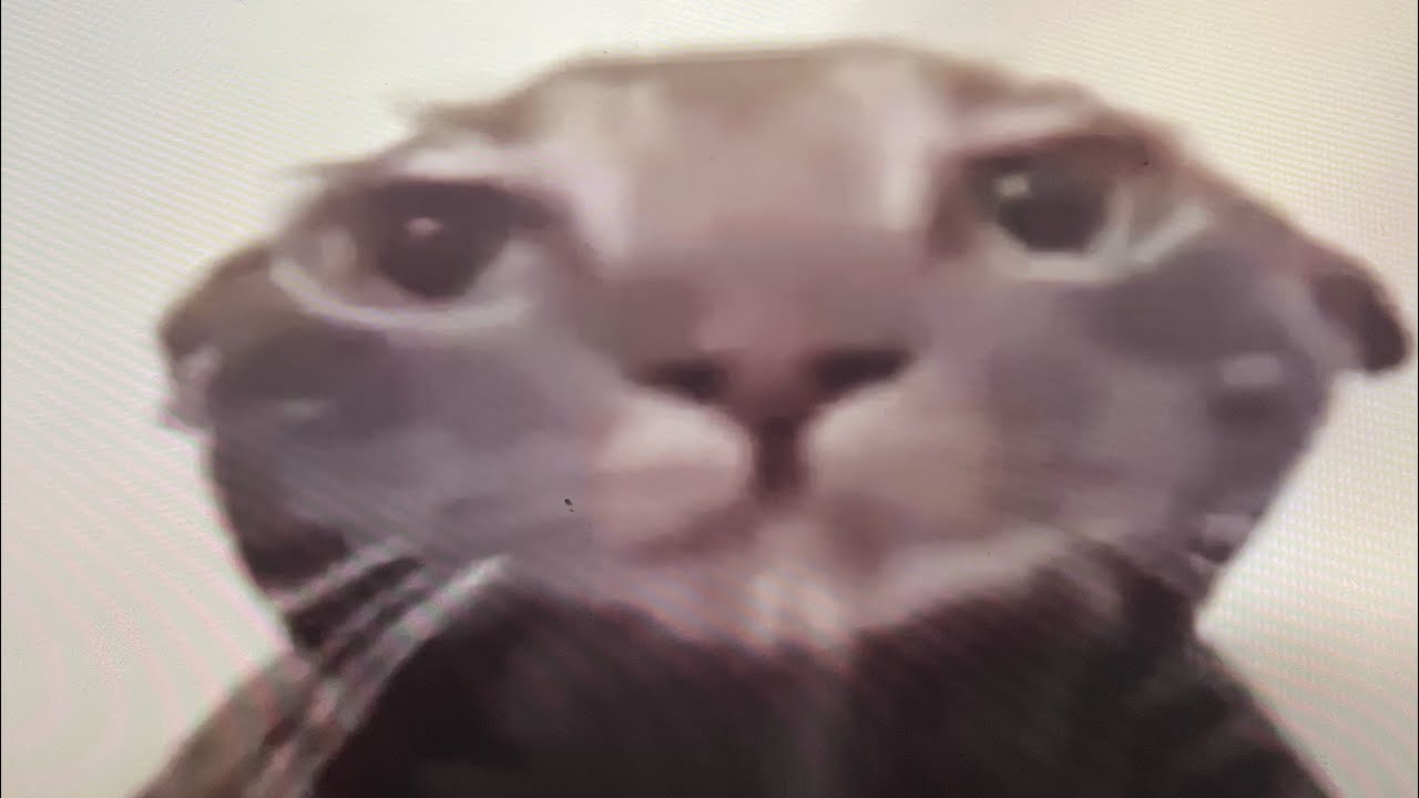 THE MATRIX STOP MOTION - YouTube