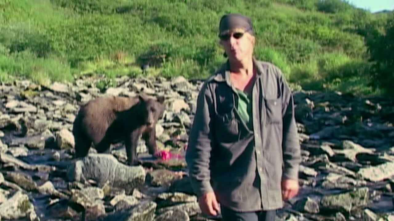 STORY OF BEING EATEN ALIVE - Grizzly Man Timothy Treadwell #bearattack ...