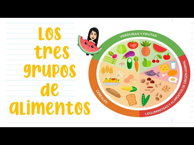 Grupos De Alimentos Para Criancas Grupos Alimenticios De Comida