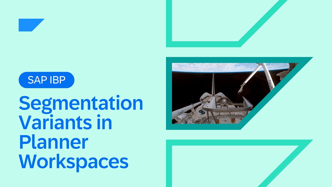 Segmentation Variants in Planner Workspaces in SAP IBP | 2508 Release ...