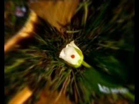 Unutulsa Adı Aşk Olurmuydu - Acı Hayat - || BİSOHBET ||