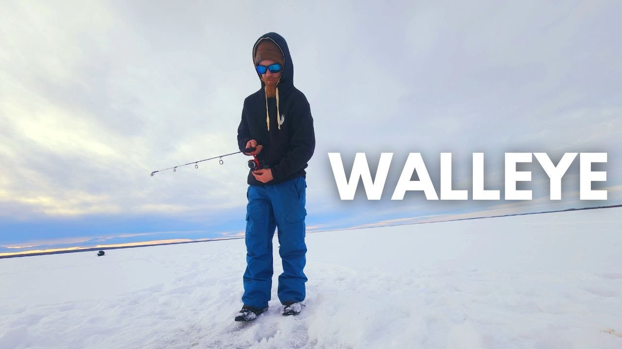 Shallow Water WALLEYE FISHING on ALBERTA's Best walleye lake! - YouTube