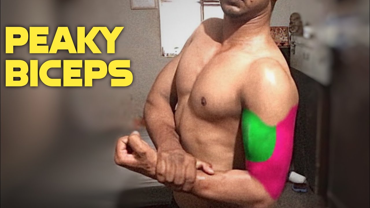 4 Best Exercises For Biceps | How To Train Biceps With Dumbbells - YouTube