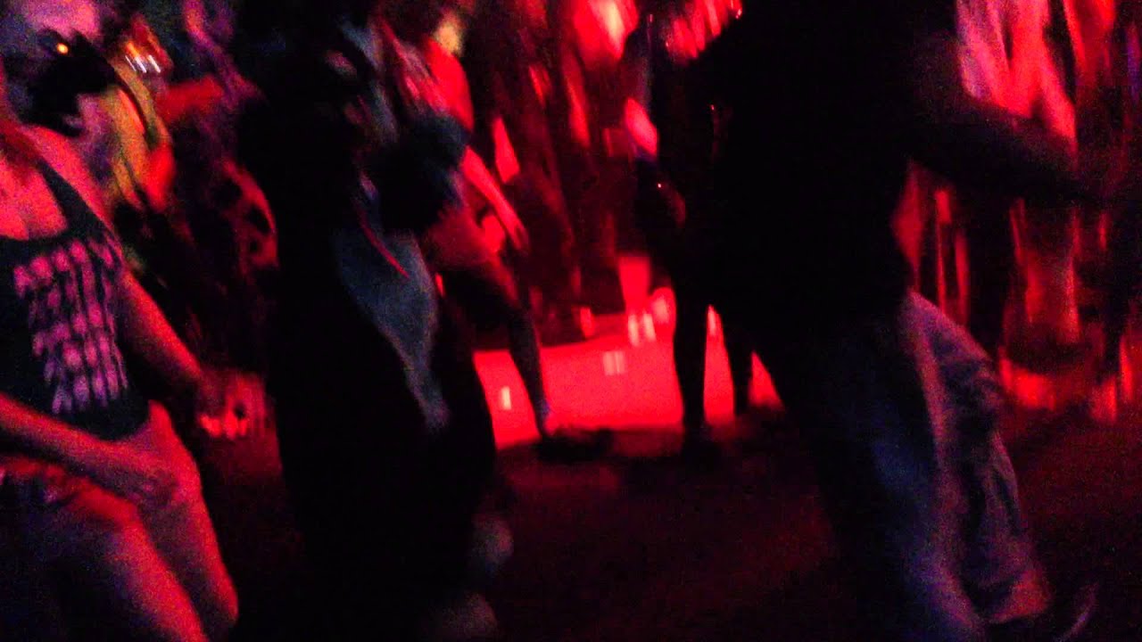 AnthroCon 2013: Renard's Rave (pt.3) - YouTube