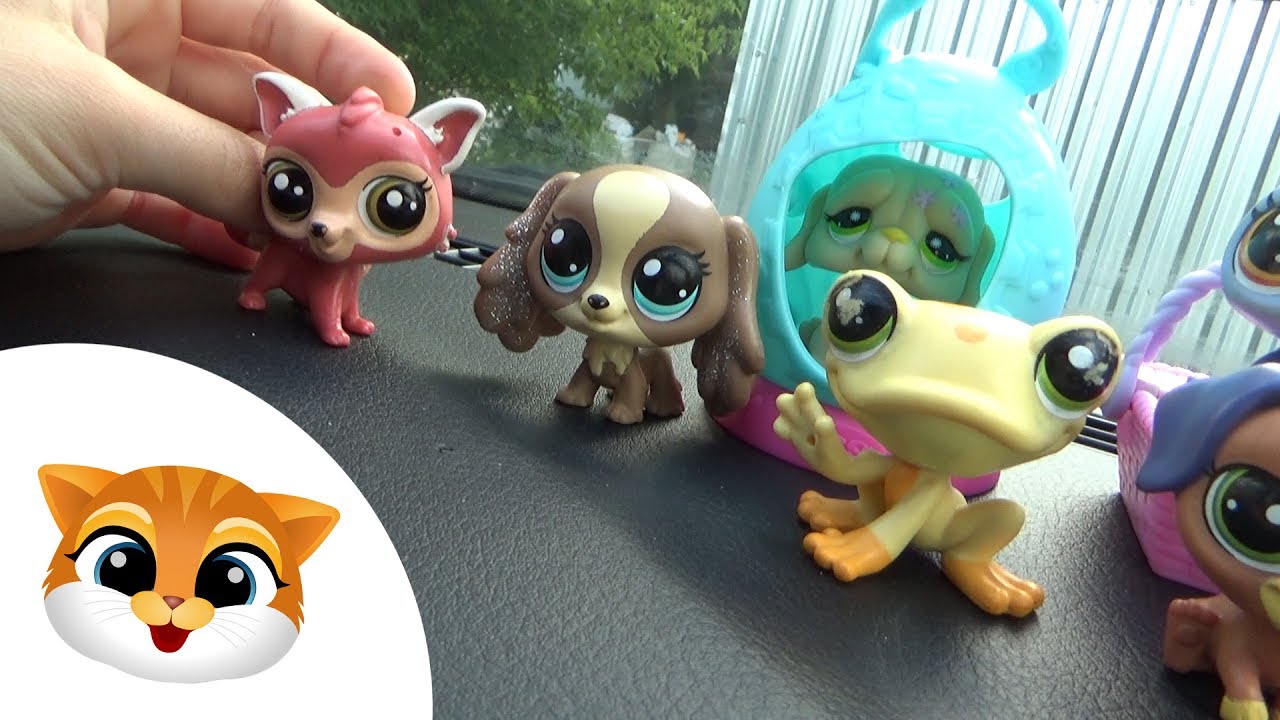 Pet Shop Week #12 - LPS jadą na wakacje | Movies for children - YouTube