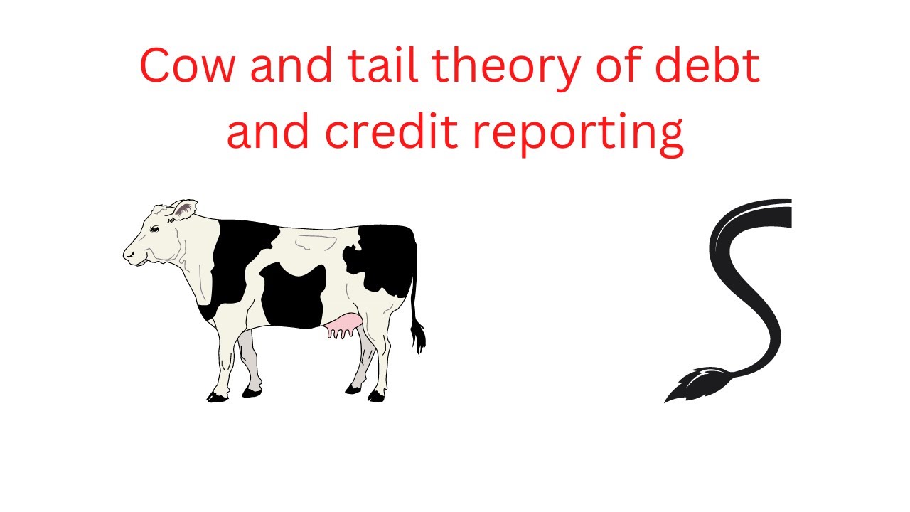 Cow and the tail theory of debt and credit reporting - YouTube