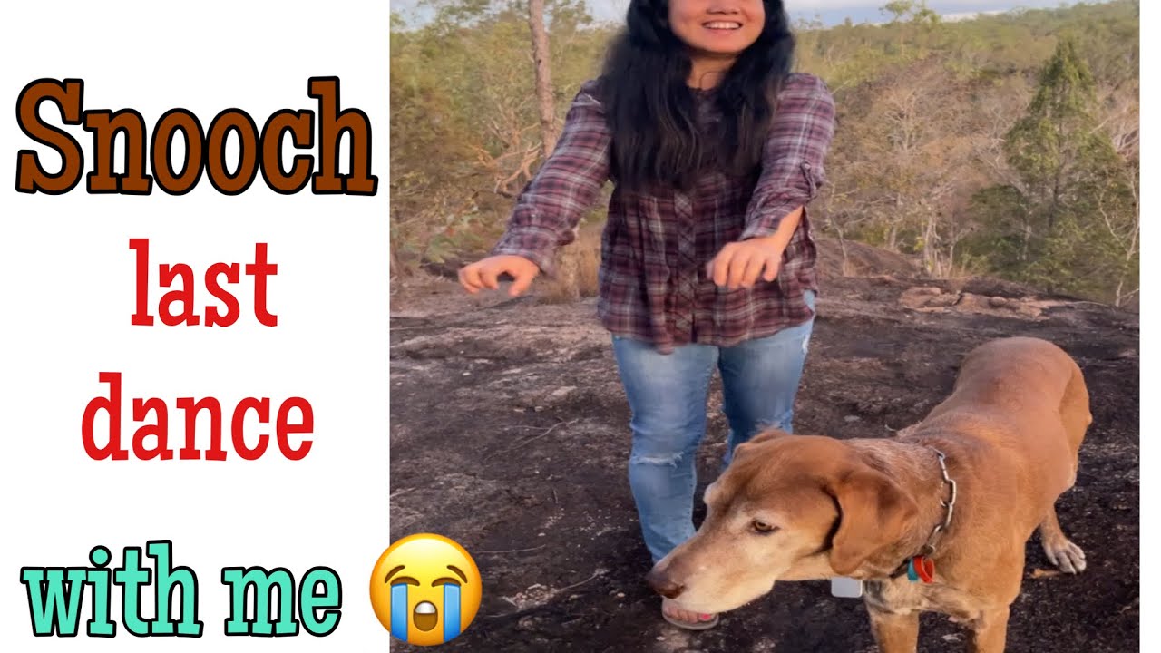 My last dance practice with Snooch in the Australian bush/Cheche ...