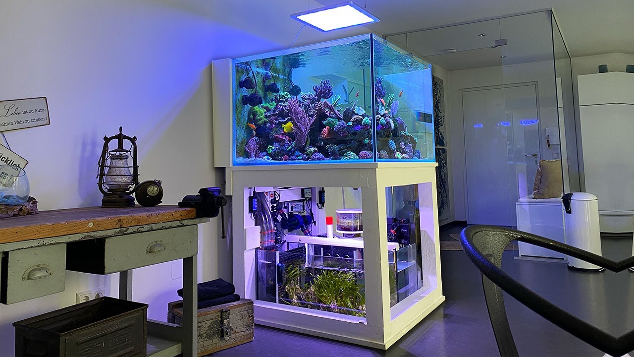 REEF TANK chillout video - The 1000 liter AQUARIUM from Elias 4K - YouTube