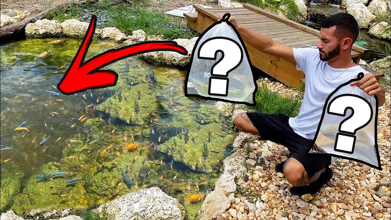 Surprising Blakes Exotic Animal Ranch with a NEW POND MONSTERS! - YouTube