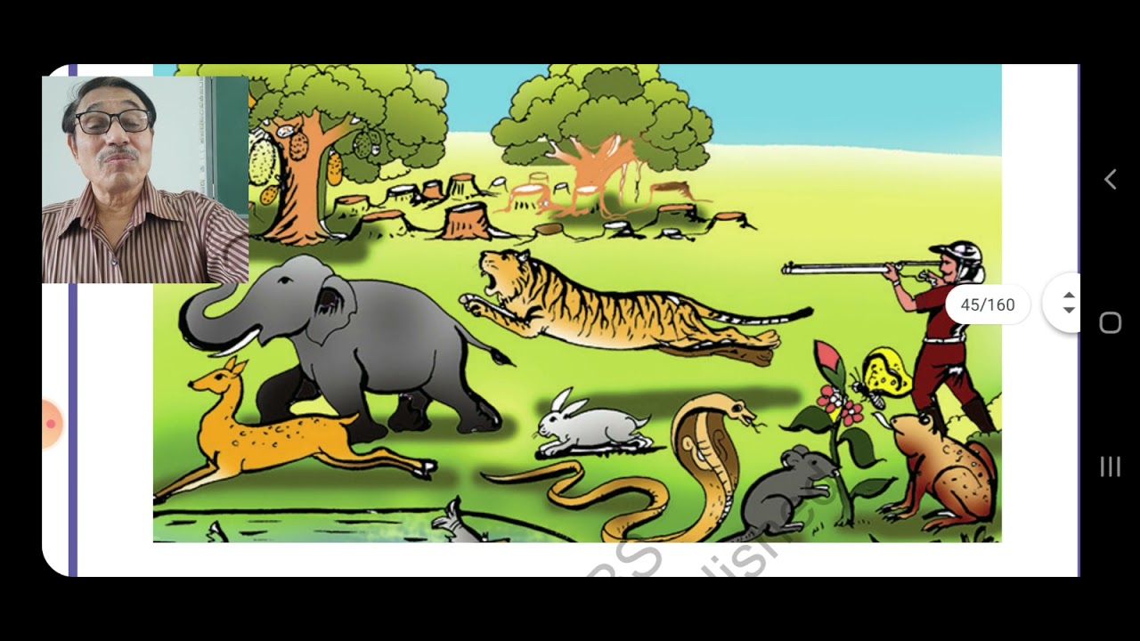 ಪರಿಸರ ಸಮತೋಲನ Parisara samatolana 7th Kannada explanation part 2 of 3 by ...