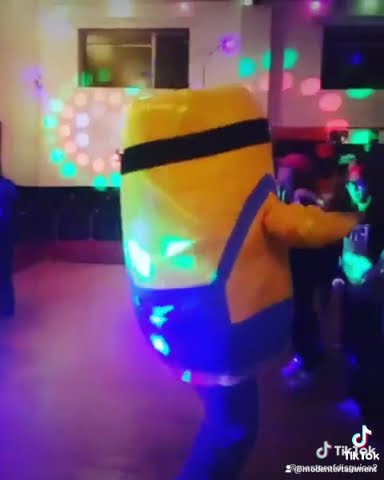 Gary the Minion costume Characters kids parties Master of Disguise ...