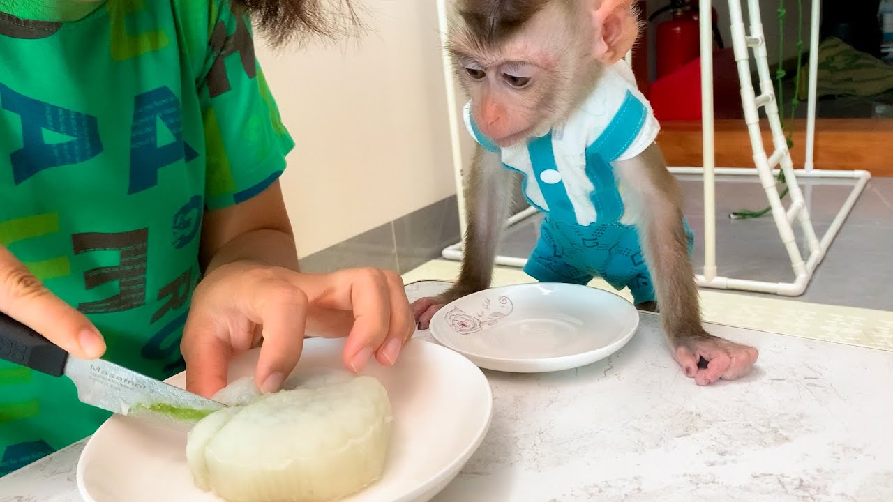 Monkey Puka was hungry and hugged Moon Cake to find Mom - YouTube