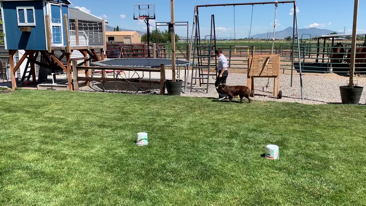 Adam Mecham #2 Obedience - YouTube