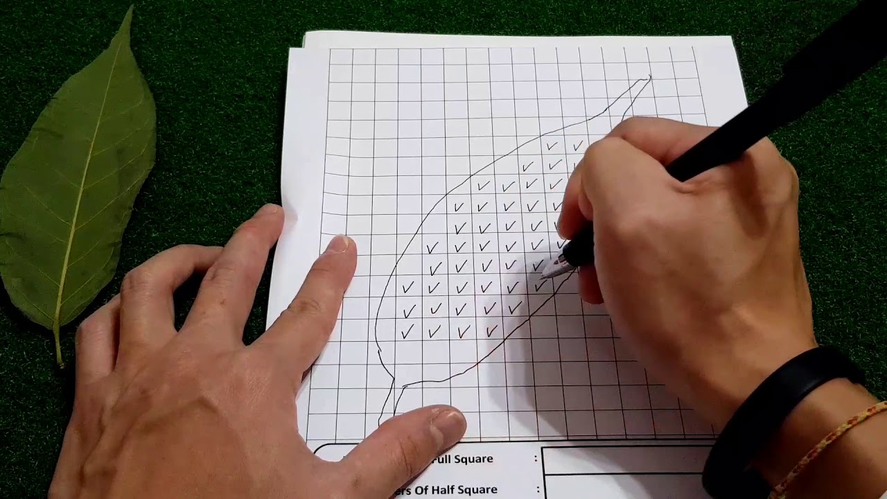 How To Estimate The Area Of An Irregular Shape? (Science Year 3) # ...