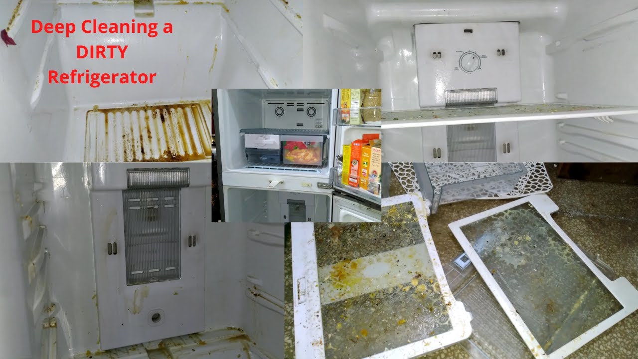 Deep Cleaning a DIRTY Refrigerator | A Super Wife | LG Double Door ...