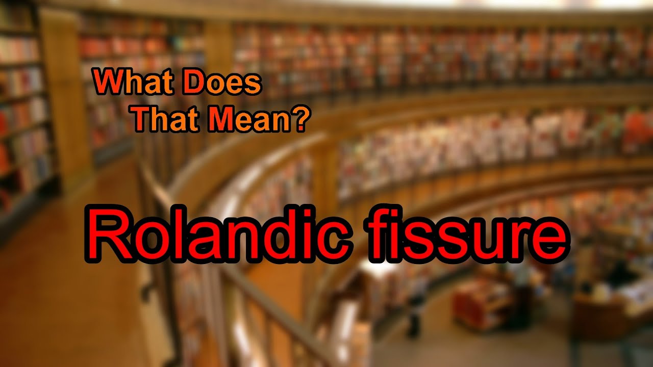 What does Rolandic fissure mean? - YouTube