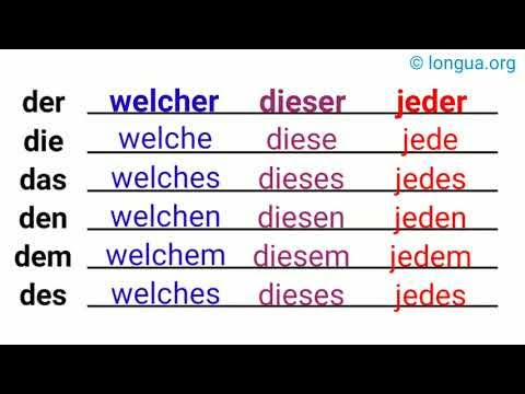 Artikel, Nominativ, Akkusativ, Dativ, Genitiv, der die das den dem des ...