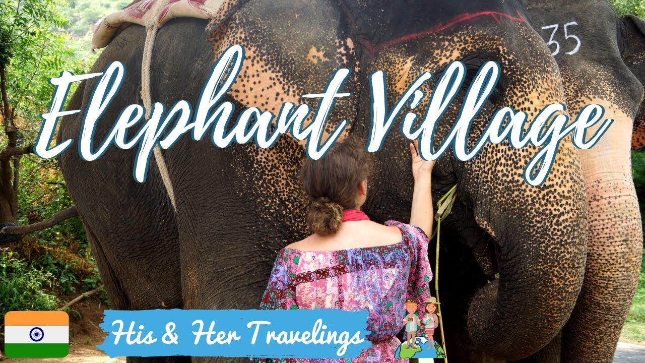H&HT | Our experience at the Hathi Gaon Elephant Village (Jaipur ...
