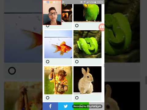 Hangi ünlü kankan hangisi