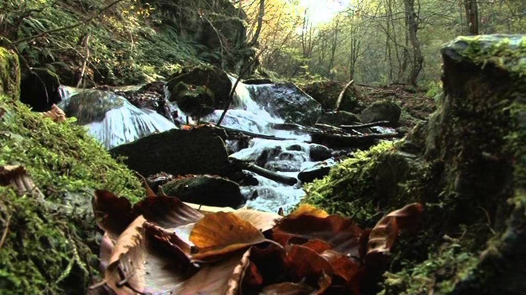 reka Bistrica - reka koja nestaje... - YouTube