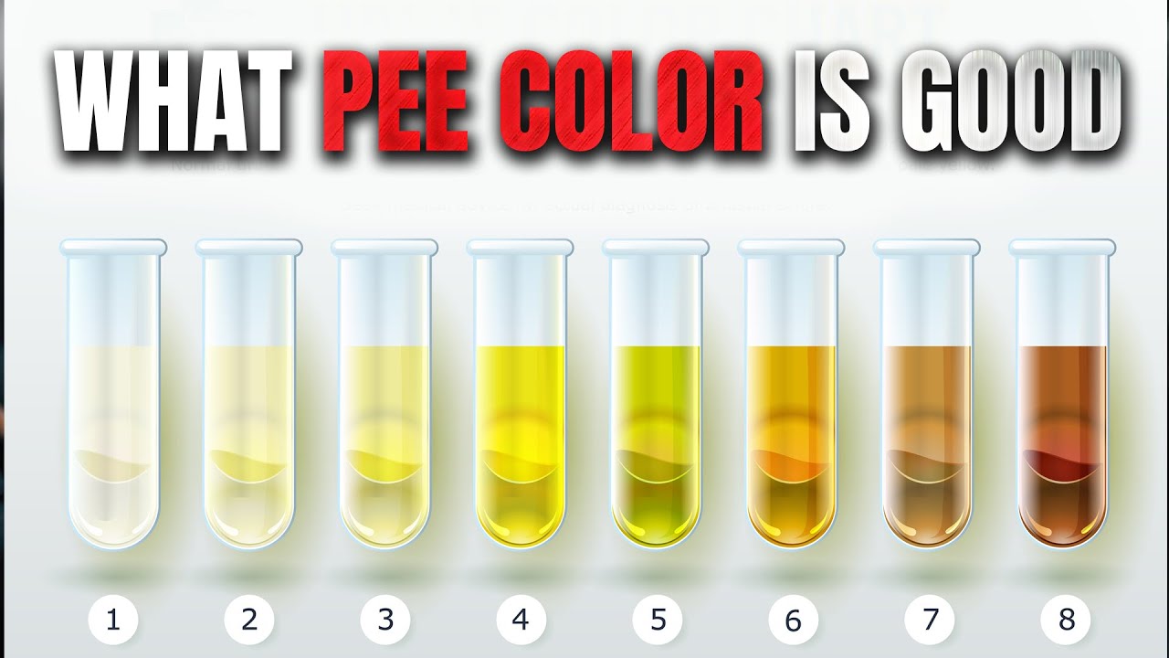 Is Your Urine Trying to Tell You Something Understanding Pee Colors ...