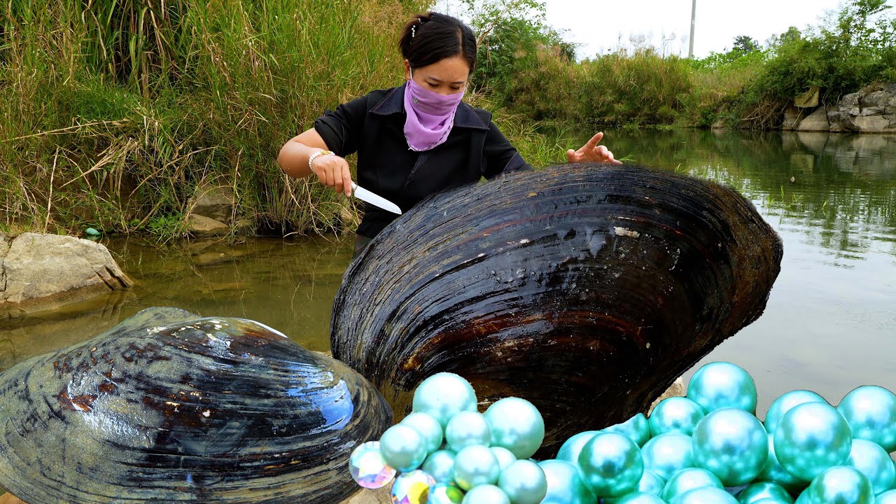 😱🎁The girl cut open a giant clam and countless pearls slipped out from ...